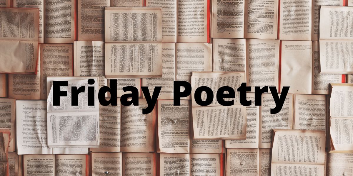 Friday Poetry: Rachel Rooney – Lady Book Dragon